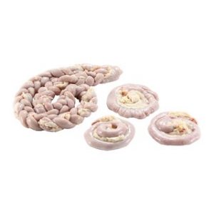 Chinchulín x Kg — Sudeste Carnes